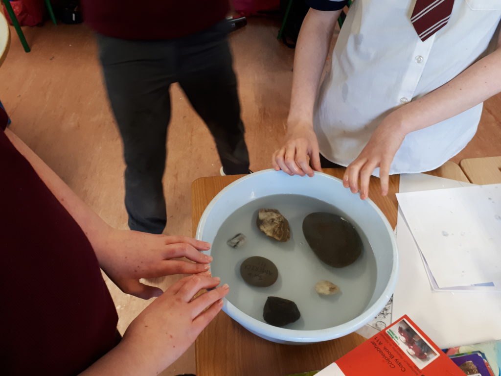 Science 2019 - Doonbeg National School